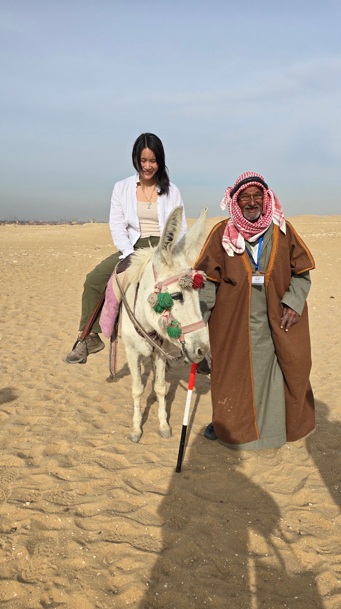 The Serapeum of Saqqara, Tomb of the Sacred Apis Bulls – ExploreEgypt